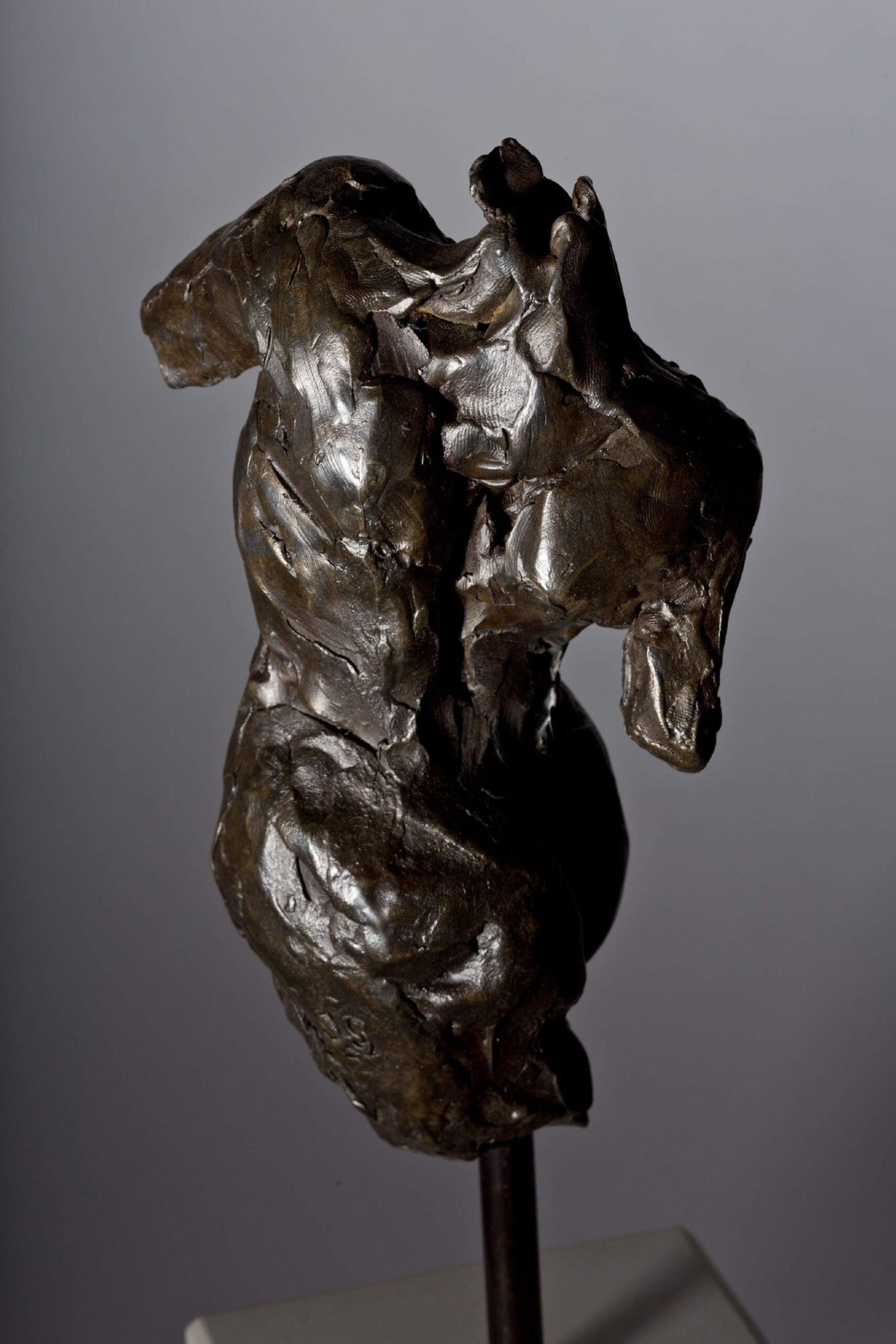 Female torso - Bronze figurative sculpture by Jane Shaw