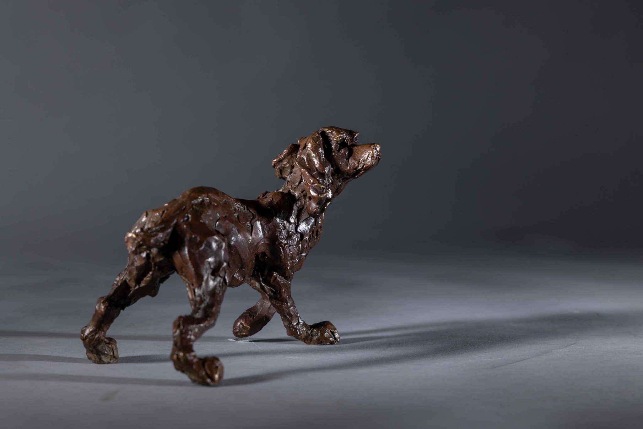 LOOKING UP - Lying Lurcher (life-size) - Jane Shaw Sculpture
