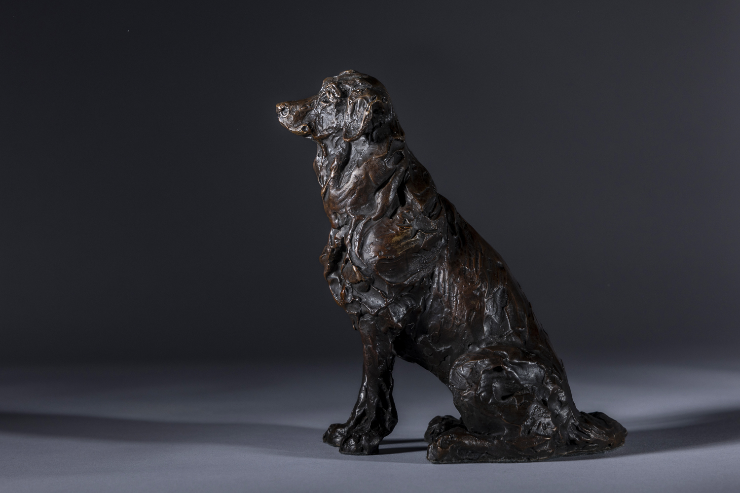 INTELLIGENT CHARM - Sitting Border Collie - Jane Shaw Sculpture