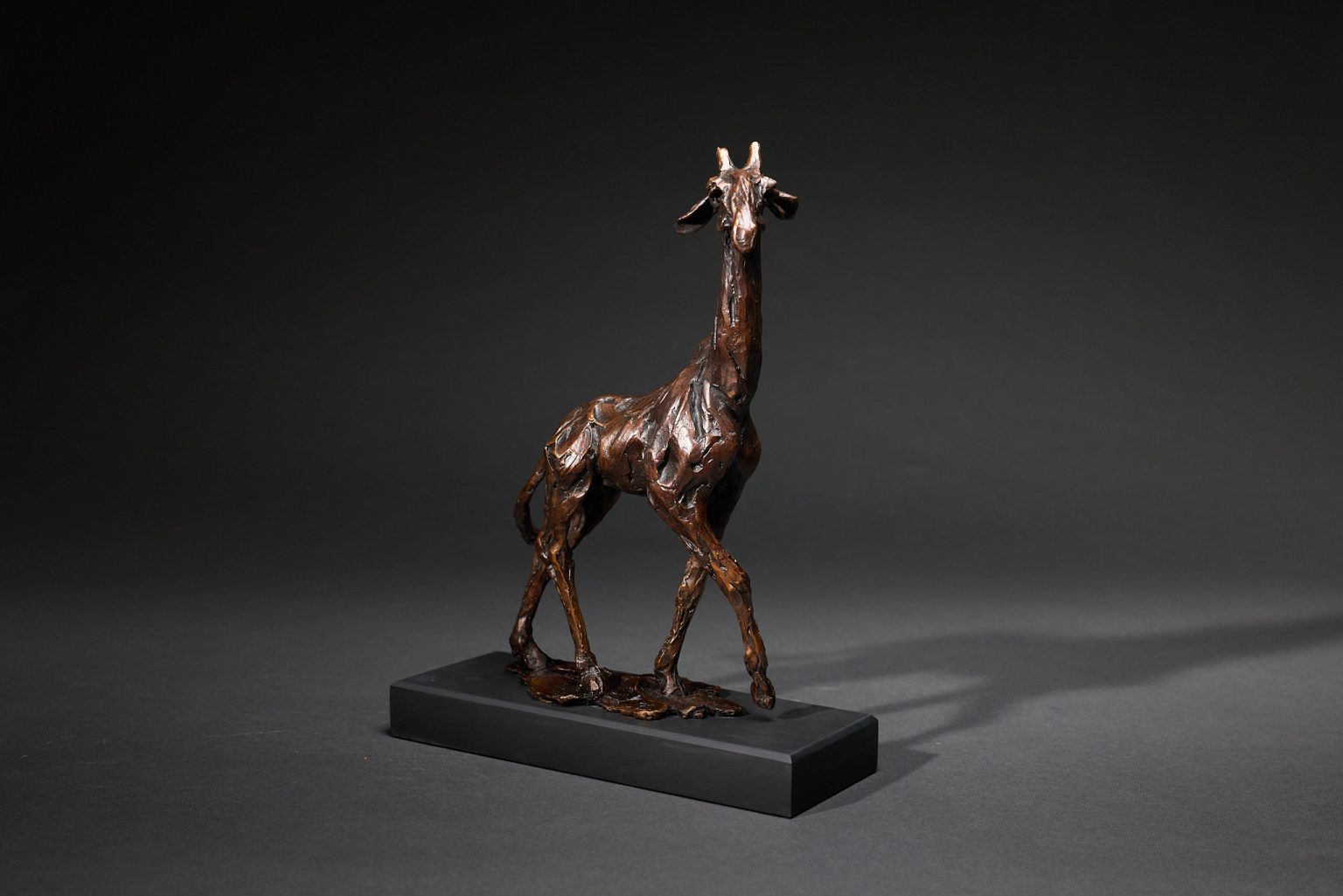 Wildlife Archives - Jane Shaw Sculpture