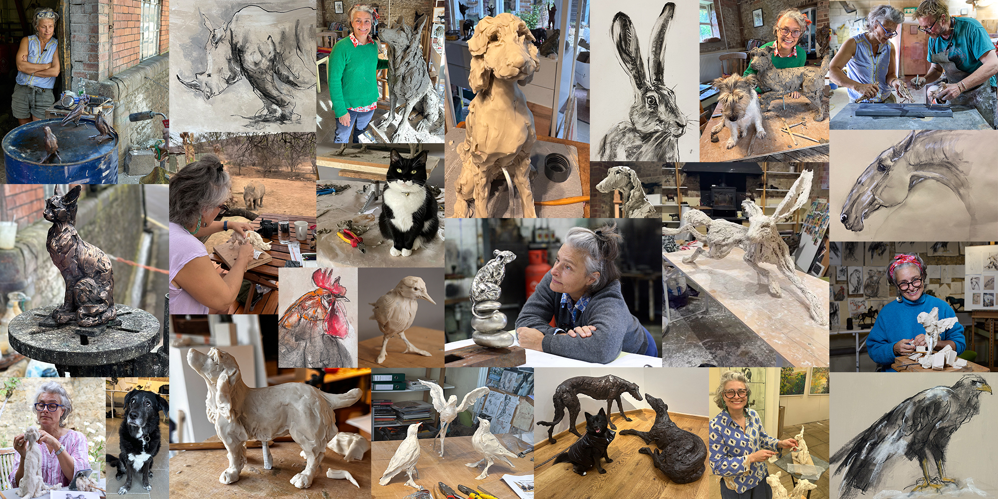 Biography | Jane Shaw Sculpture | Bronze Animal and Wildlife Sculptor